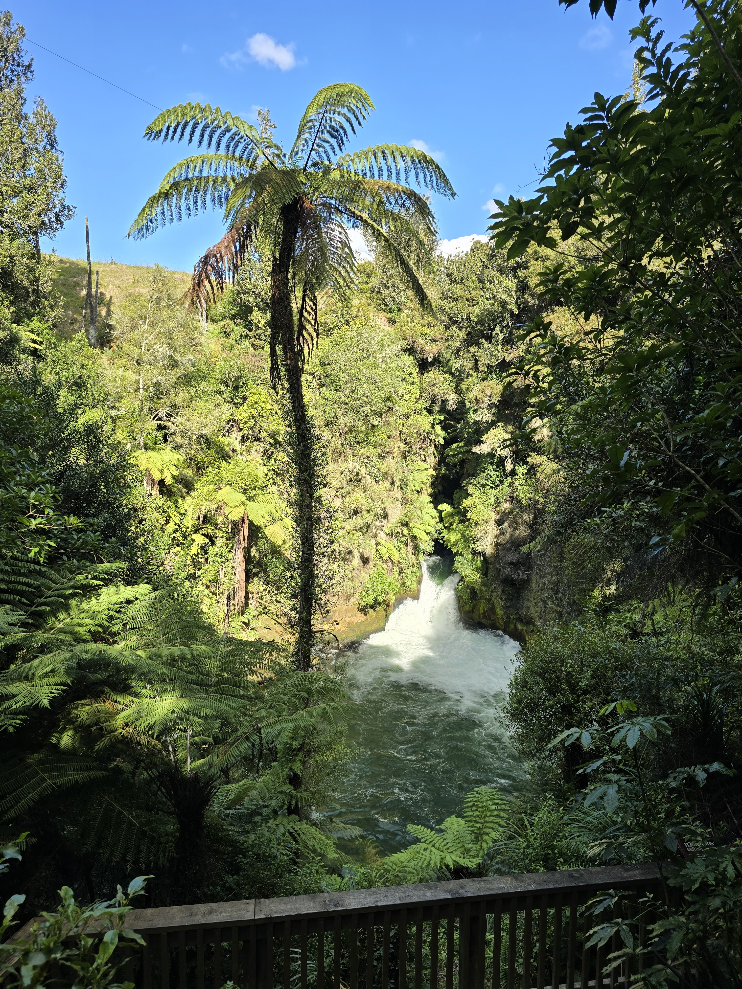 Rotorua and Beyond Taxi Tours – Rotorua and Beyond Taxi Tours offers ...
