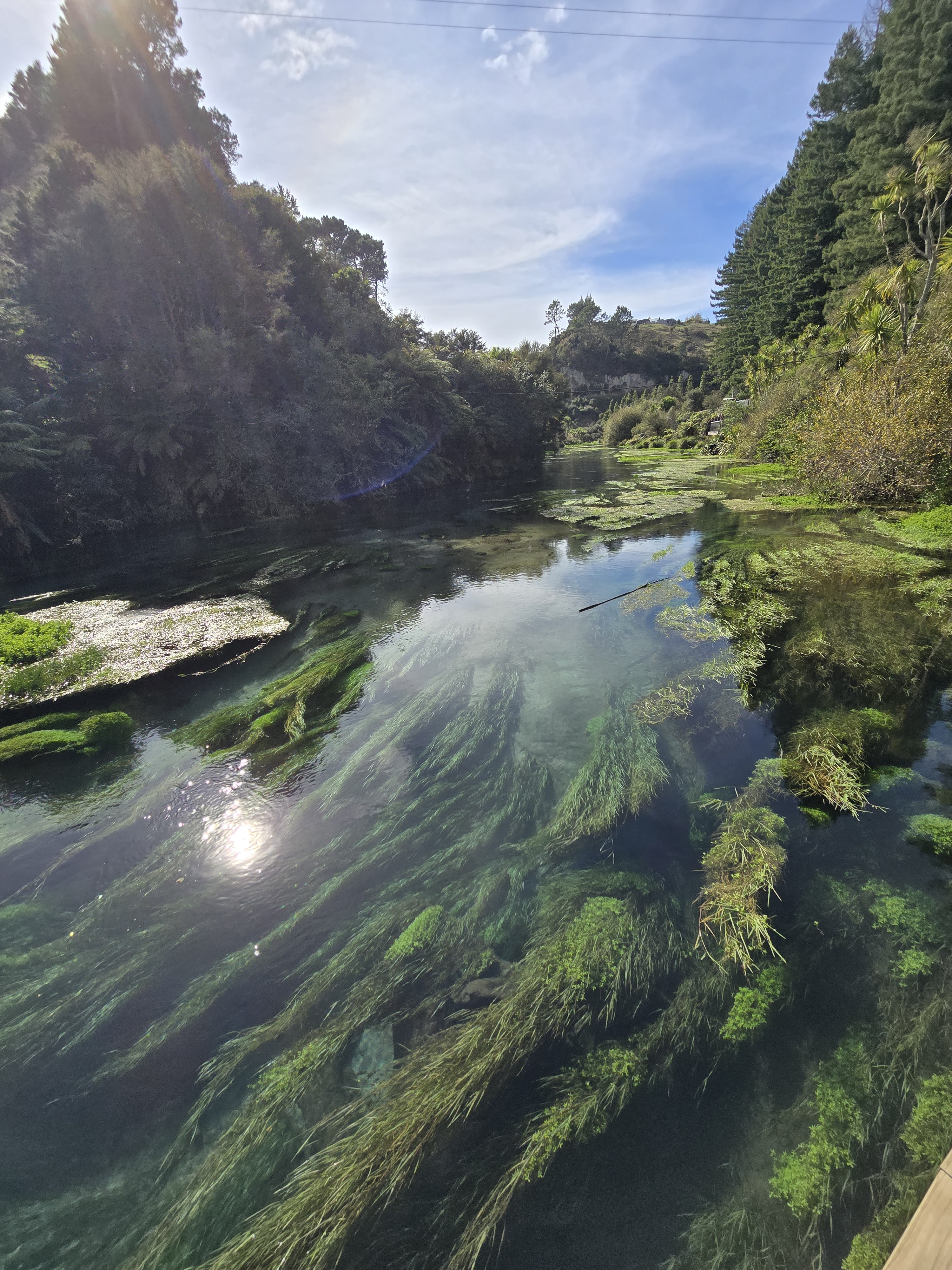 Rotorua and Beyond Taxi Tours – Rotorua and Beyond Taxi Tours offers ...
